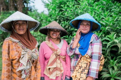 The Java-inspired Fairtrade movement is finally coming back to its roo ...